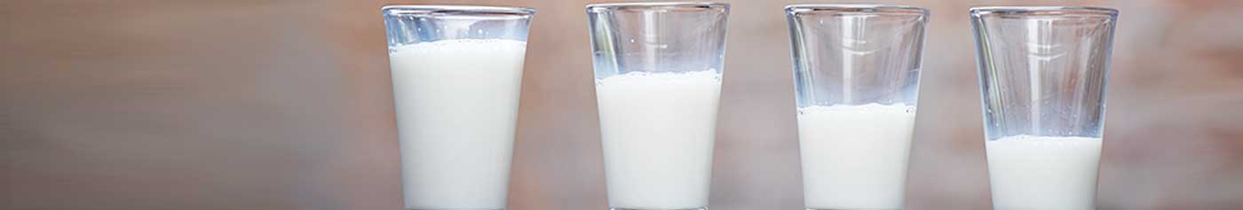 QM-Milch - Das Qualitätsmanagement der deutschen Milchwirtschaft